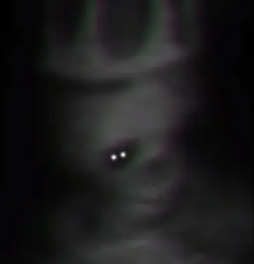 Which Uncanny Phase deserves a page | Fandom