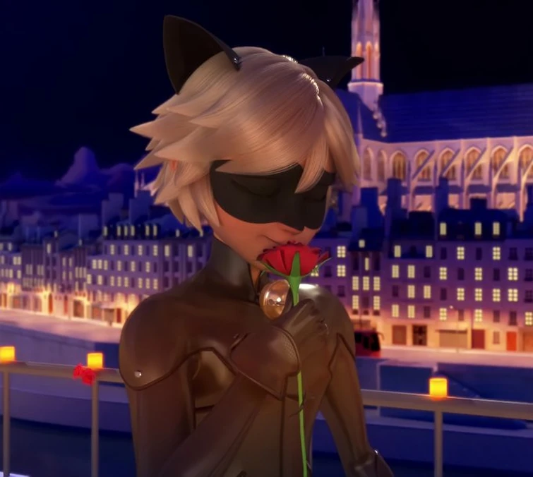 Who looks the best in the Cat Noir suit? | Fandom