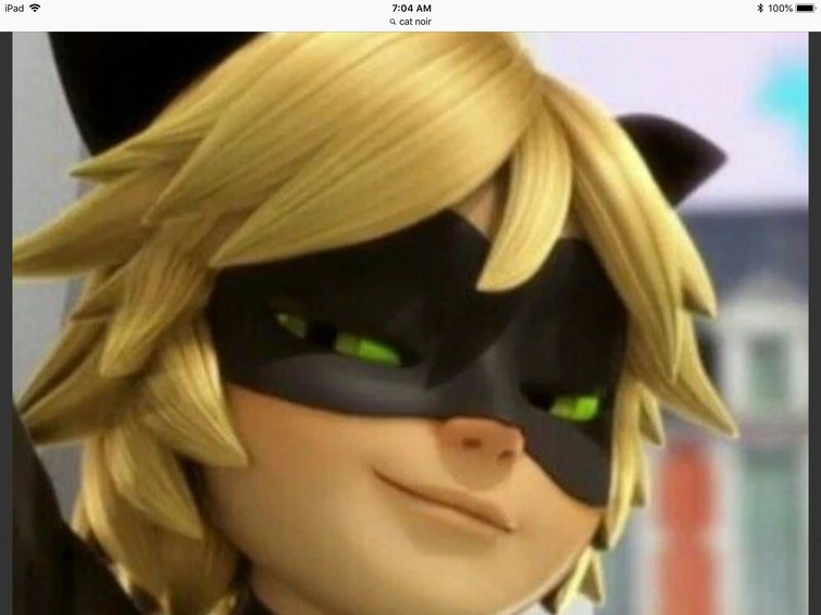 Cat noir | Fandom