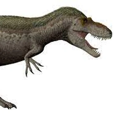 Discuss Everything About Dinopedia | Fandom