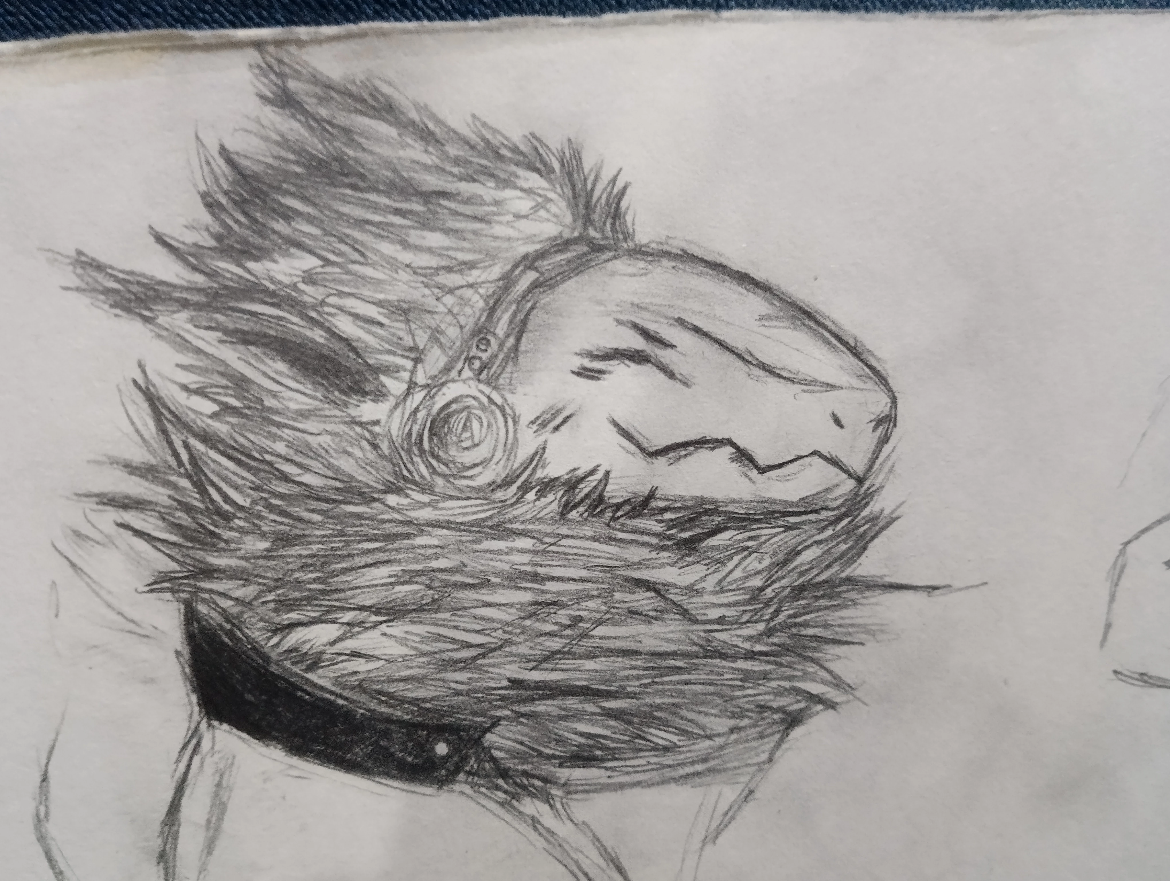 Random Things Fandom