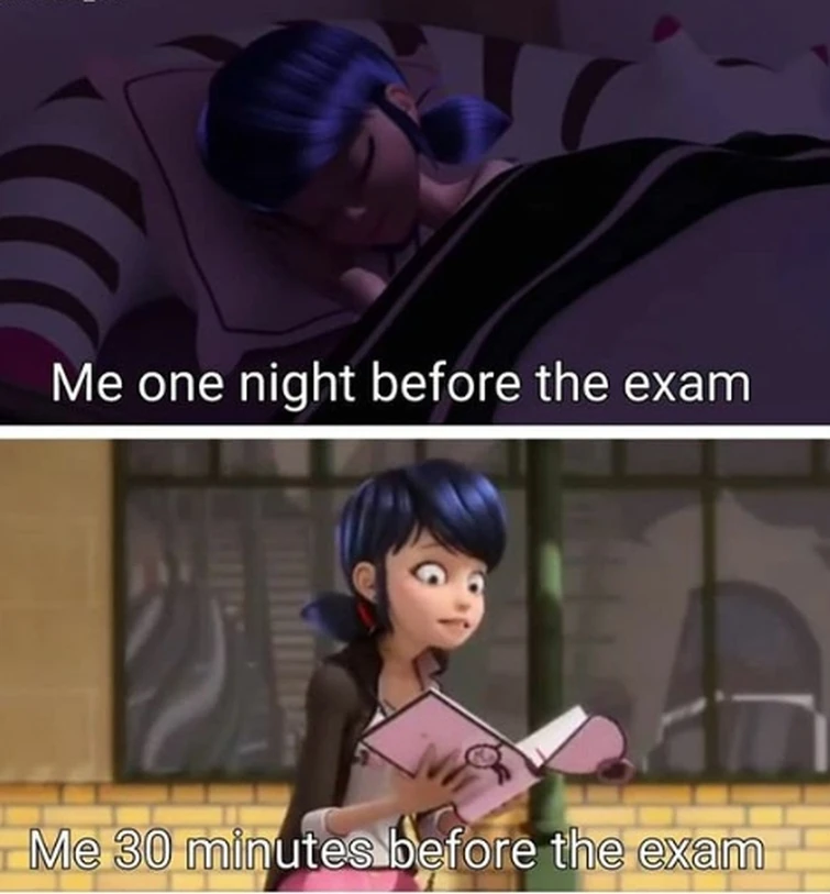 Day 71 - memes | Fandom
