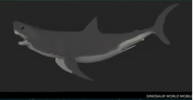 Another video mentioning the "Megalodon": | Fandom