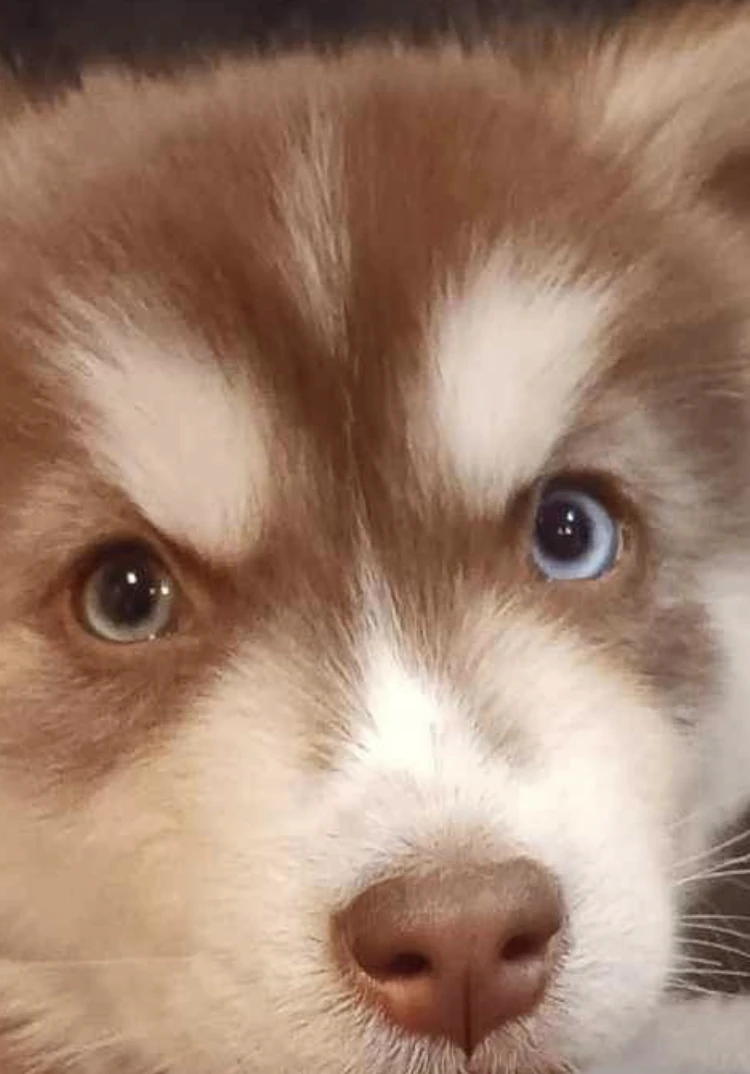 Is her left eye green? | Fandom