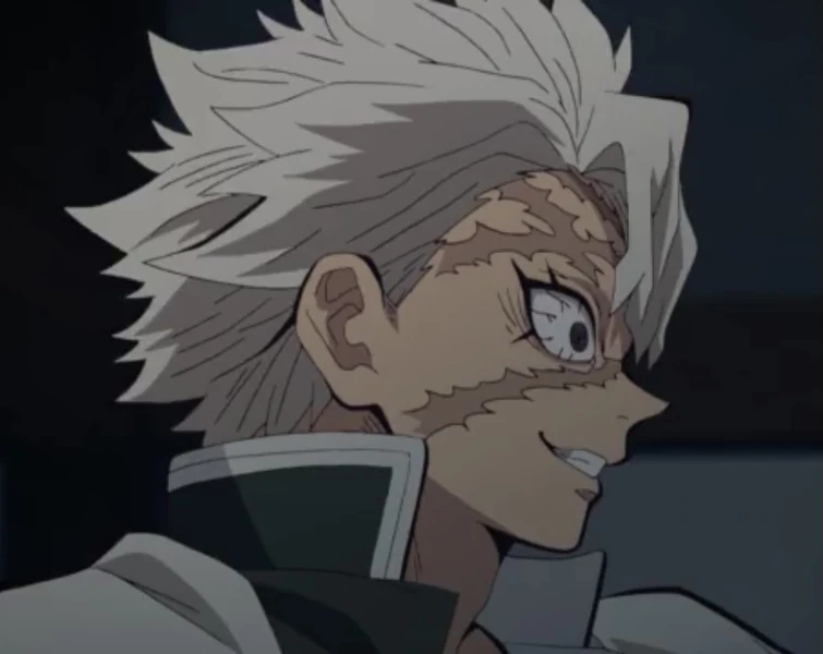 Me casually watching the Hashira Meeting for the 6th time | Fandom