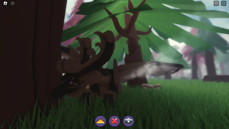 Meet Twig! | Fandom