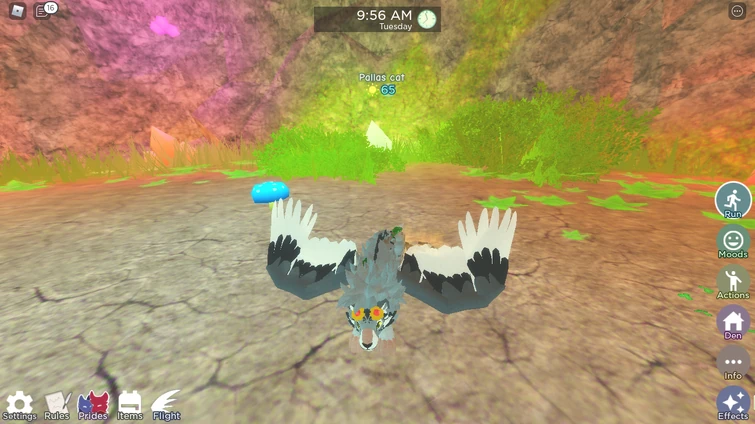 Discuss Everything About Felandia Wiki | Fandom