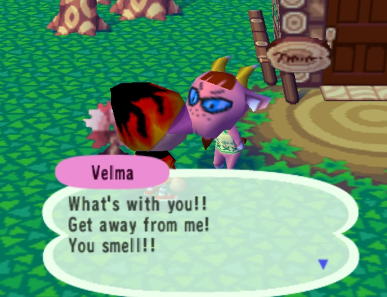 Discuss Everything About Animal Crossing Wiki | Fandom