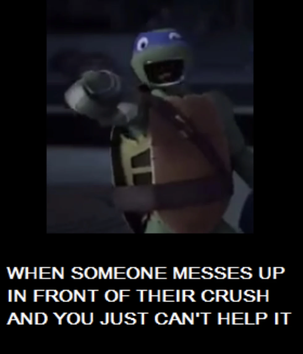TMNT Meme Of The Day | Fandom