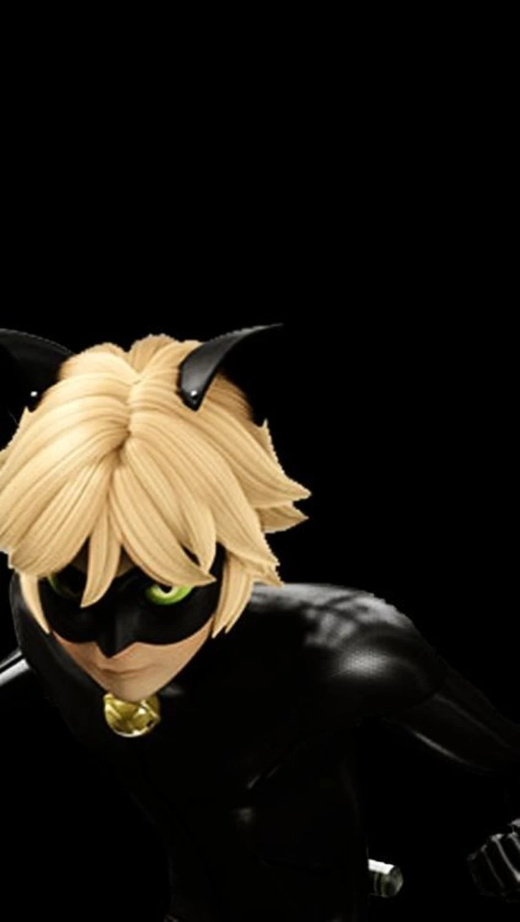Cat noir??? | Fandom