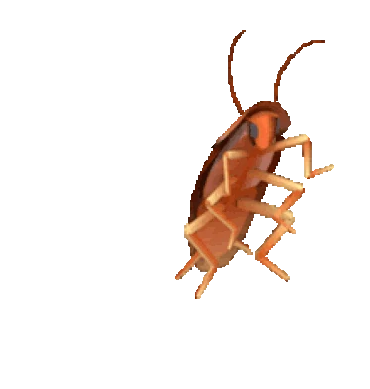 Should I change Dancing Cockroach's jumpscare audio? | Fandom