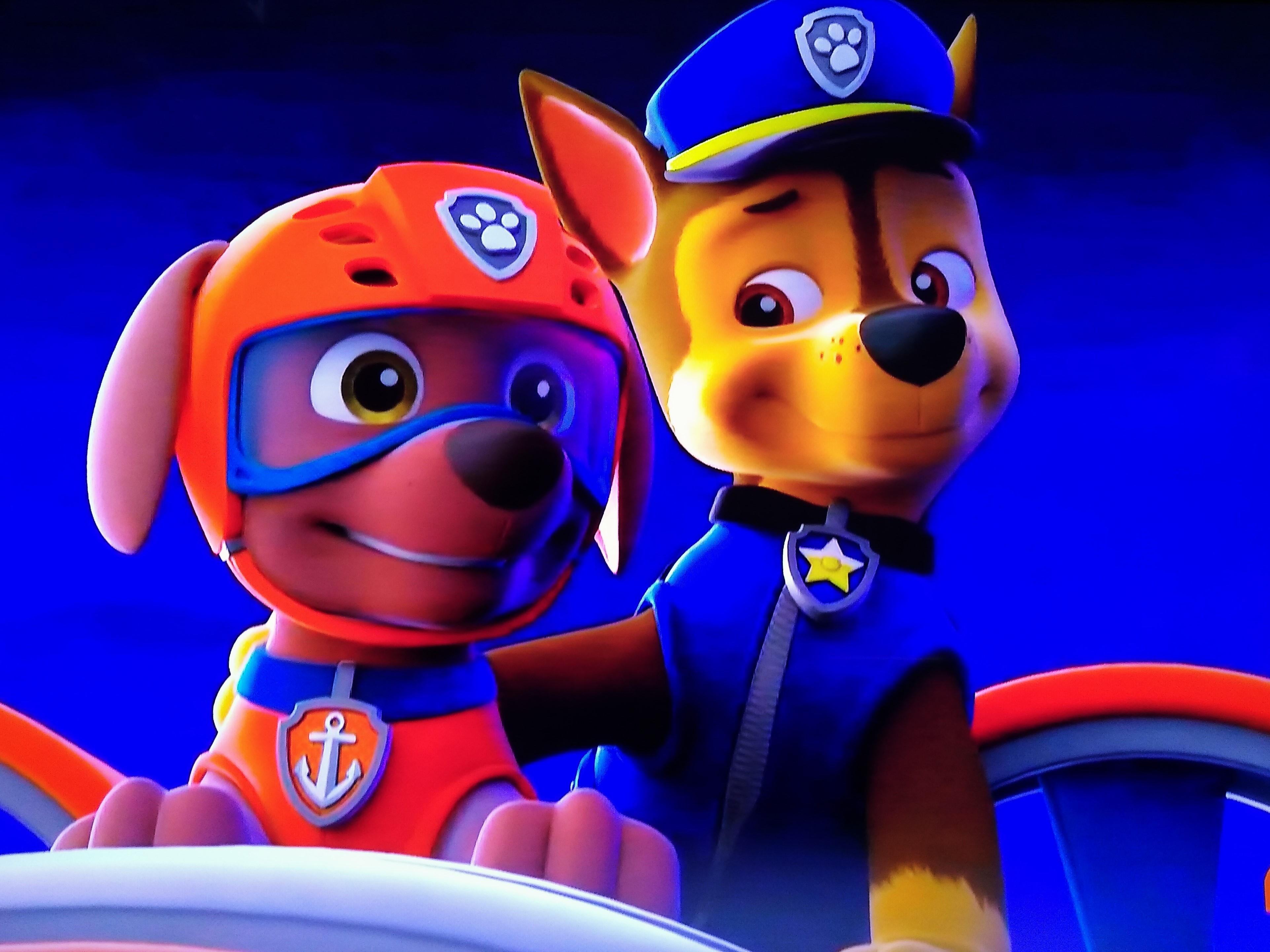 Paw patrol chase and zuma store