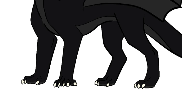 HWO DO YUOU DRAW DRAGON LIMBS | Fandom