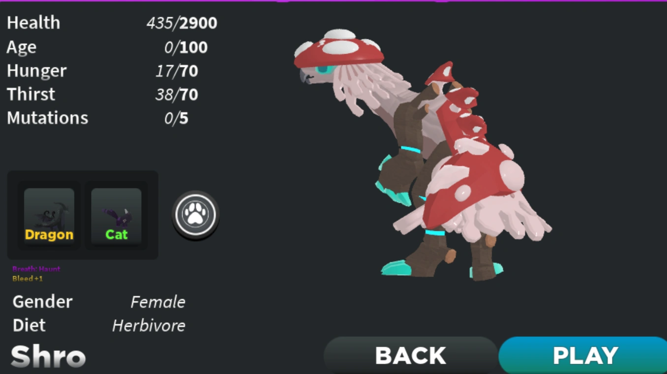 shro with dragon plush | Fandom