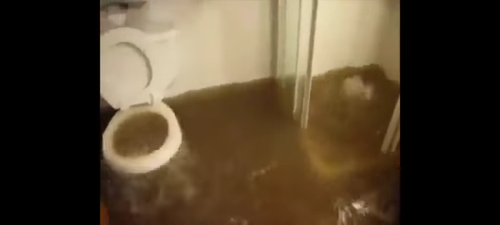 wiki trends | Fandom