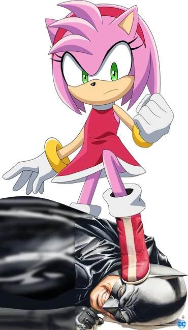 Amy Rose VS Batman (if you know, you know) | Fandom