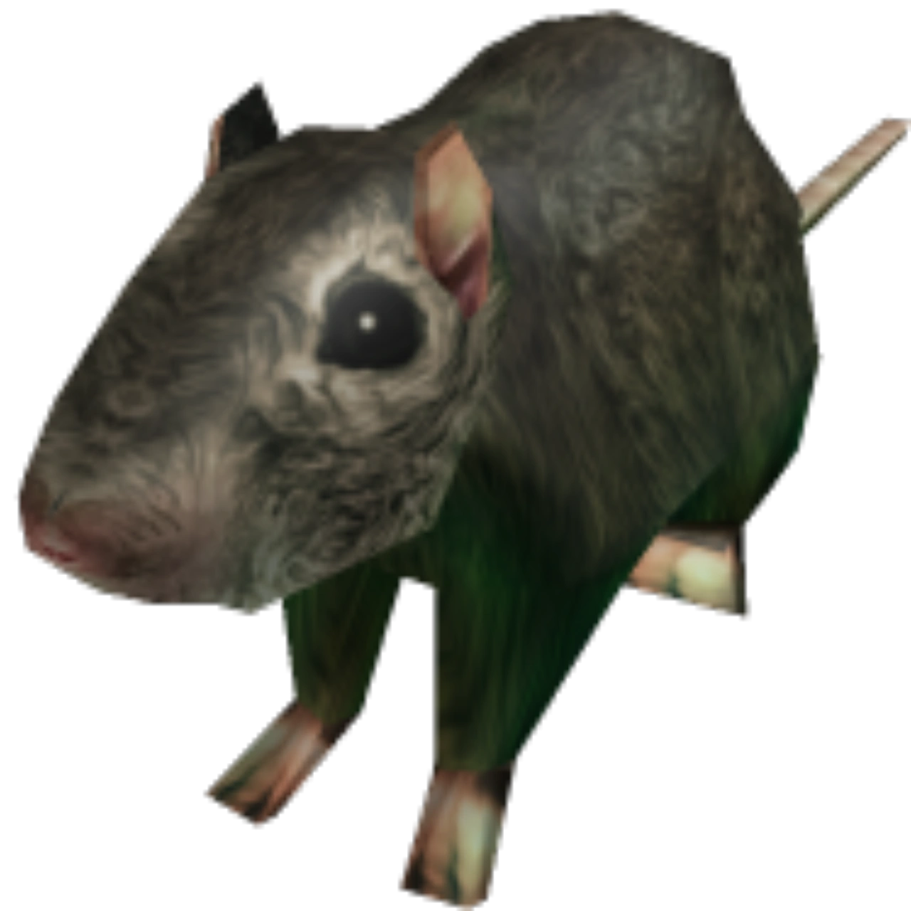 Say Hello to John the Rat! | Fandom