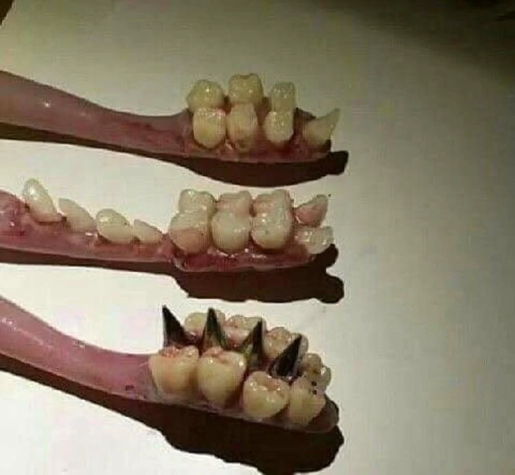 Toothbrush's 😃😃😃😃 | Fandom