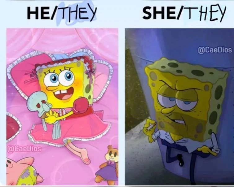 DOD MEMES | Fandom