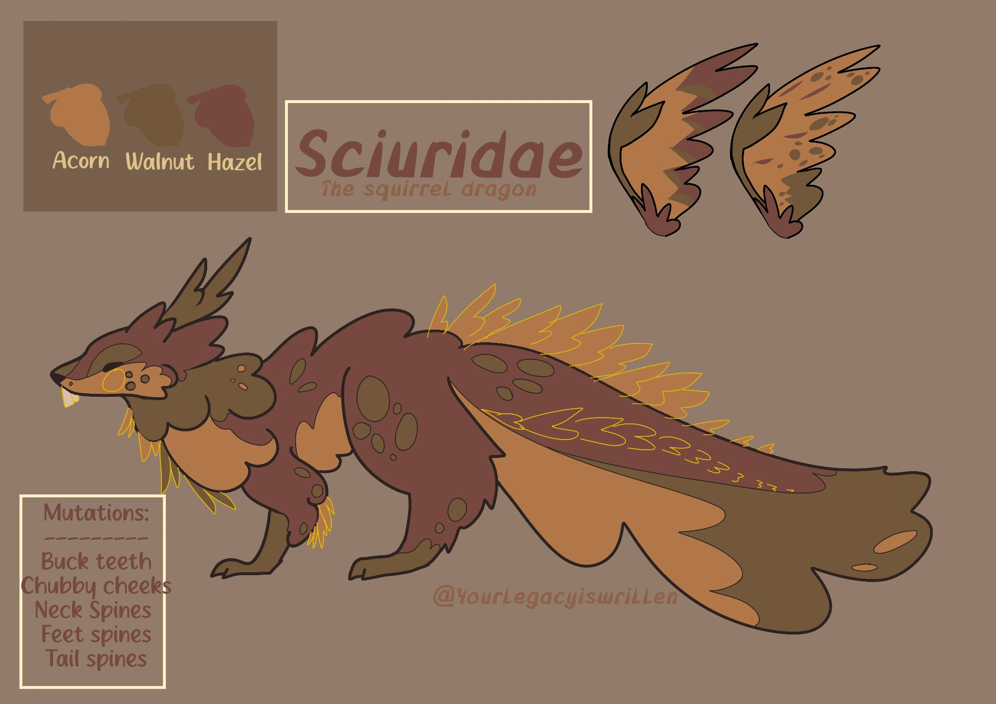 Squirrel Dragon | Fandom