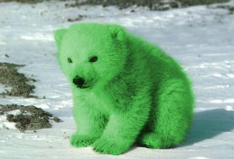 GUYS I FOUND FLIPPY IN REAL LIFE | Fandom