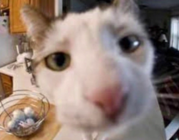 tetr.io background dump | Fandom