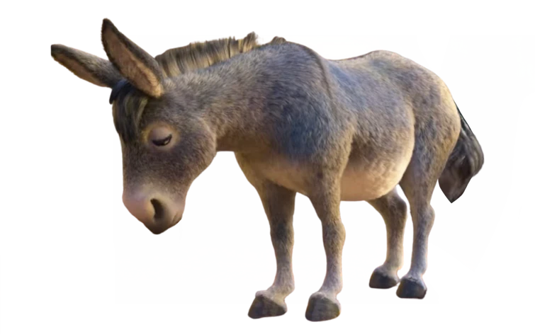 are the donkeys a refference to shrek | Fandom