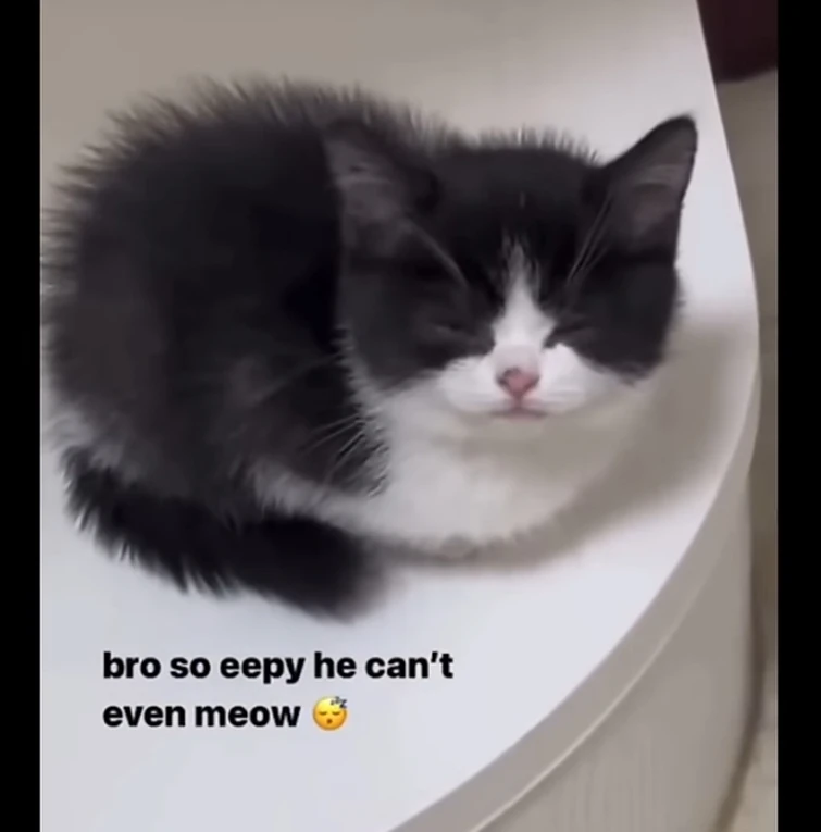 zzzzzzzzzzzzz snore zzzzzzzz mimimi.. dandy after killing you and your ...