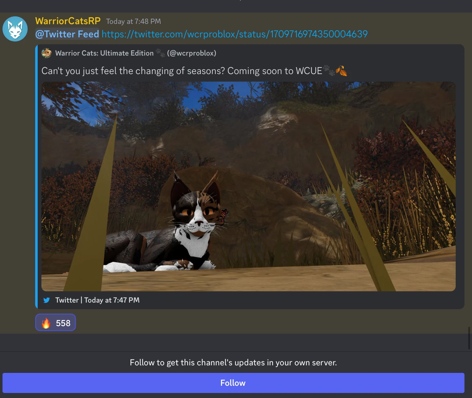 Hi wcue fandom | Fandom