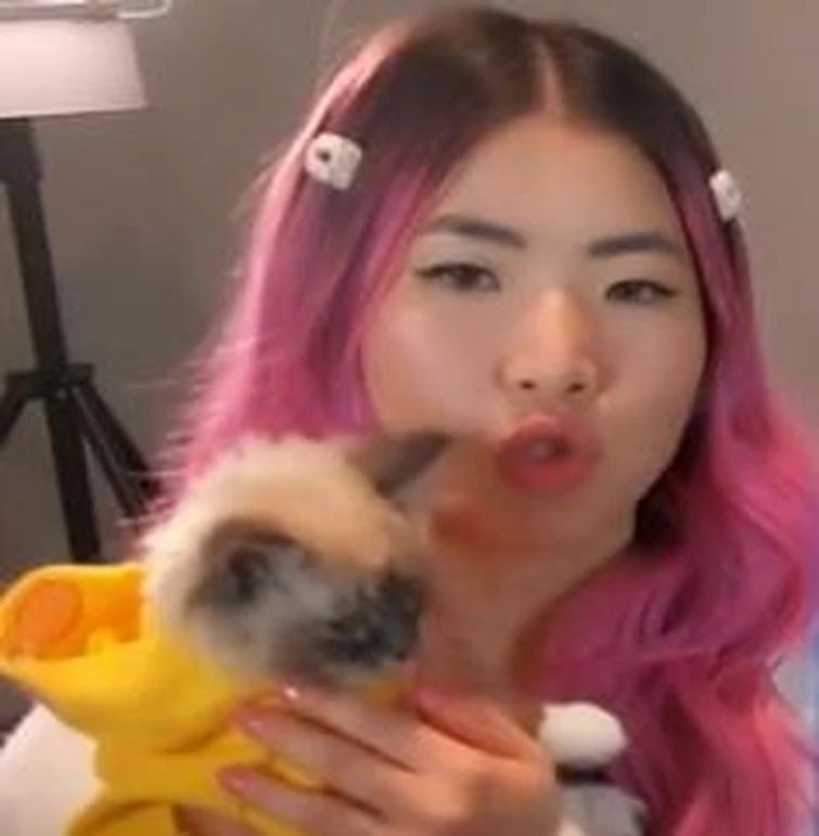 Wholesome pictures of the KREW pets! | Fandom