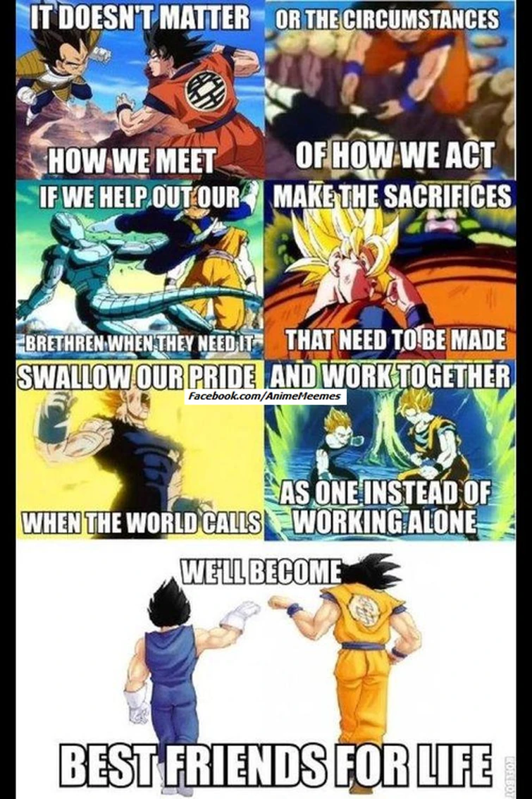 An Nice True Rivalry Quote. (DBZ Meme# 1) | Fandom