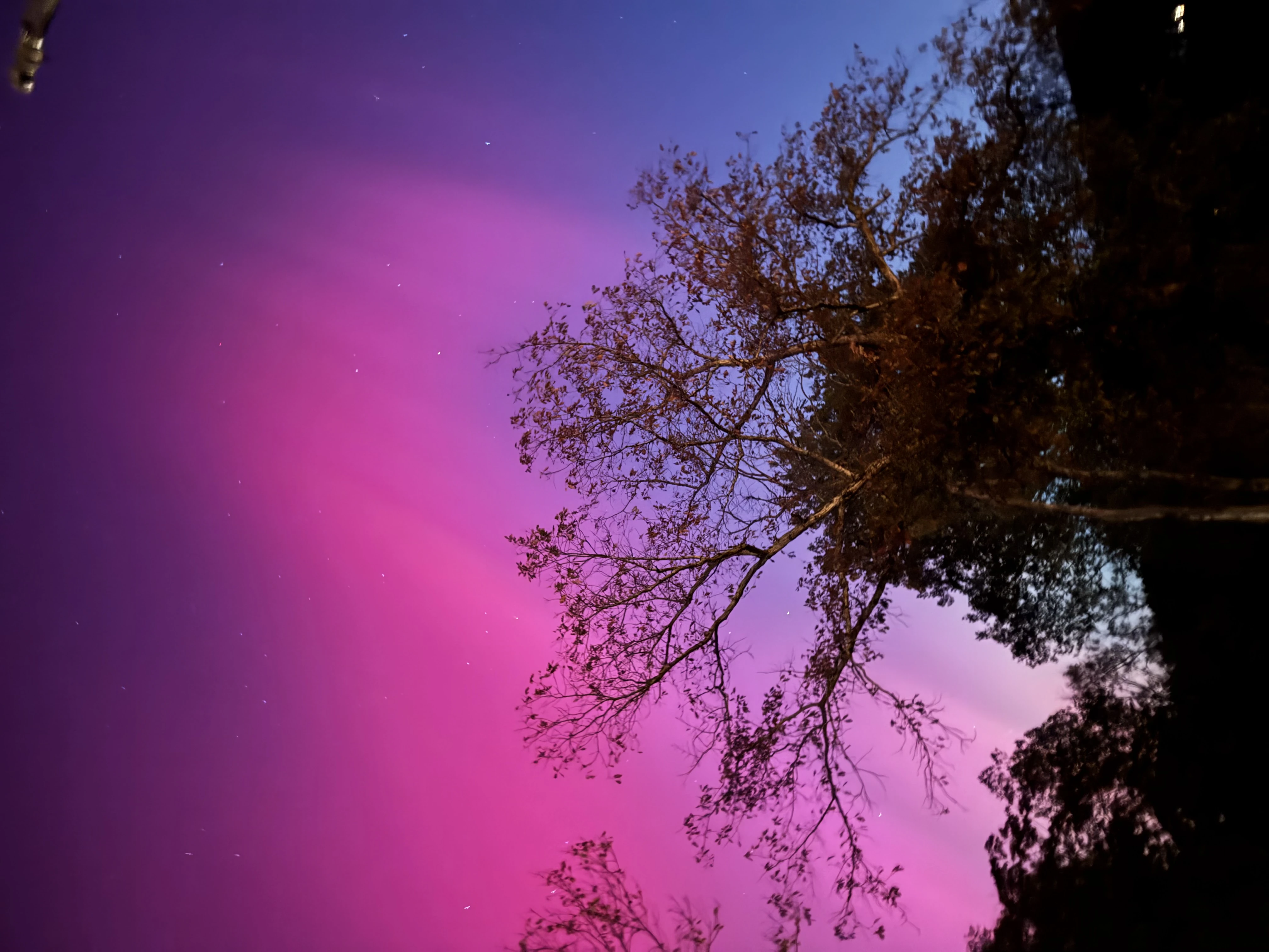 GREAT GOOGLY MOOGLY!! 🤯 | Fandom