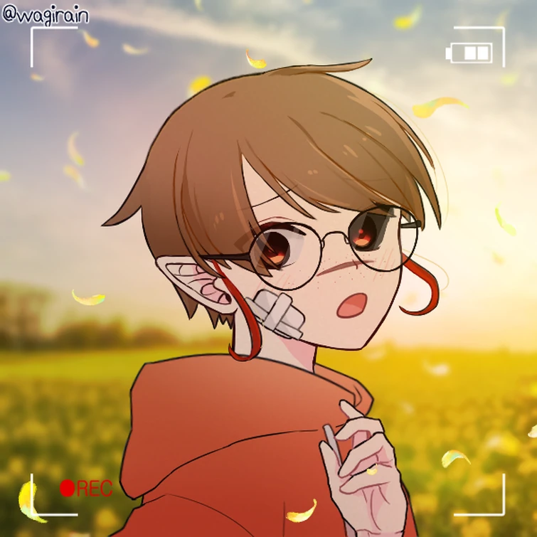 What I would look like in the DSMP! | Fandom