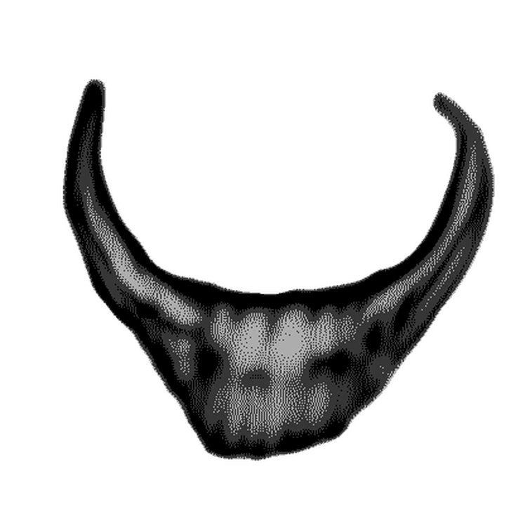 Uhm I'll remake your entities again ig | Fandom