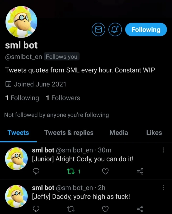i made an sml bot | Fandom