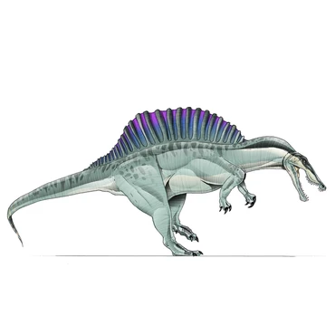 What's the best Spinosaurus design? | Fandom