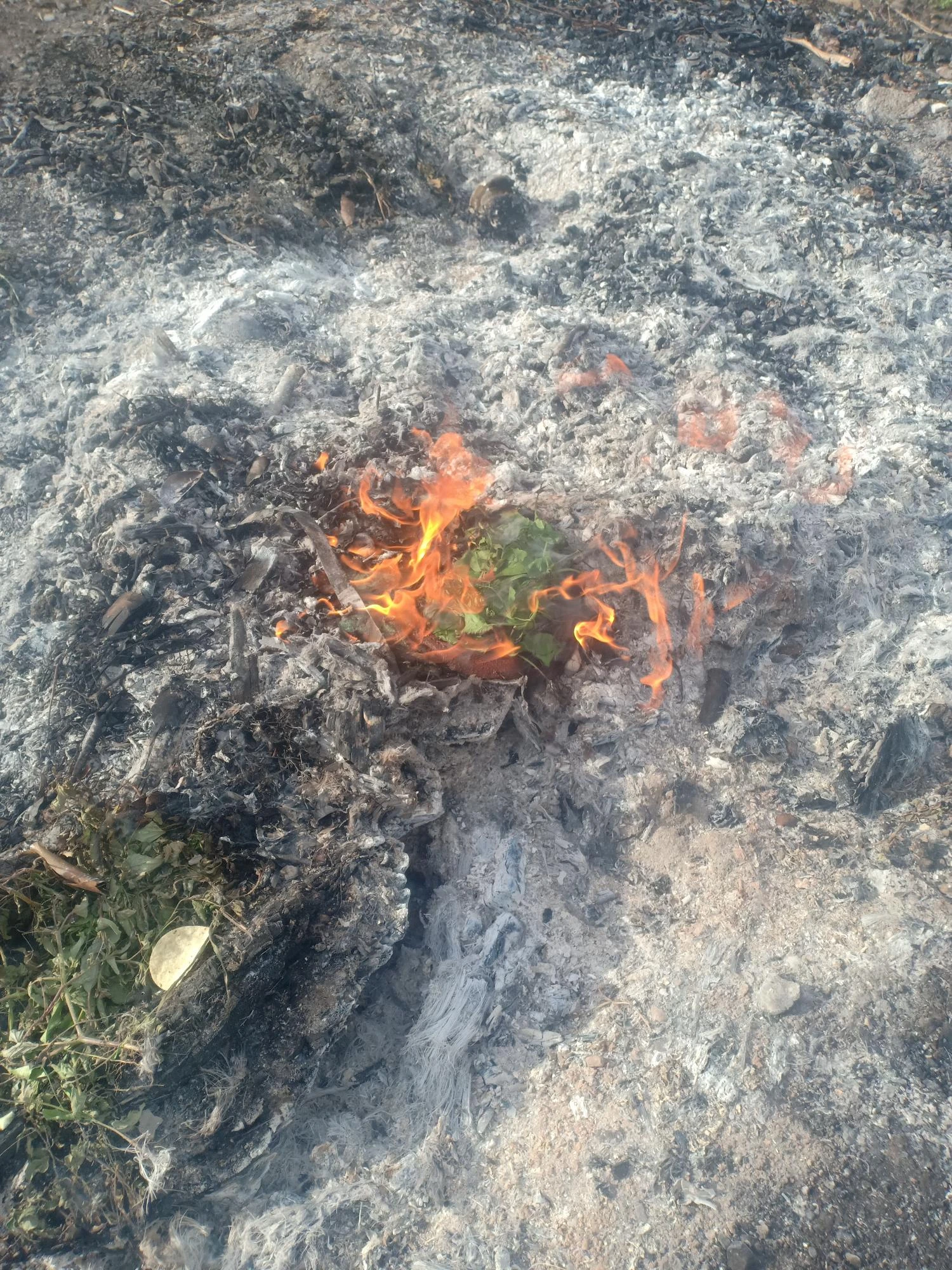 Mmmm delicious | Fandom