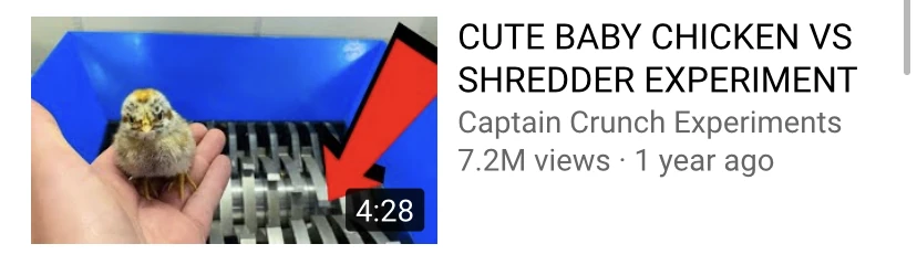 Say Whaaaaaaaa | Fandom