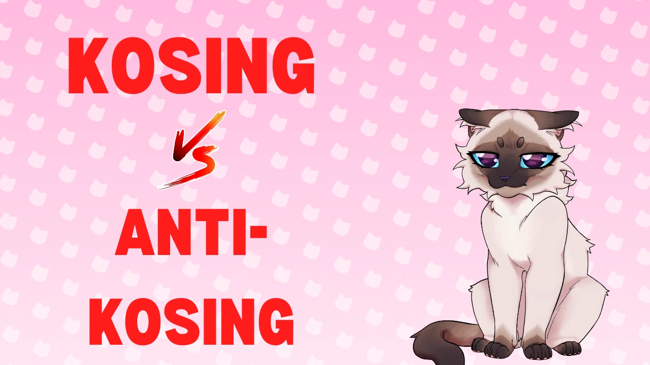 KoSing vs. Anti-KoSing : Super Tiring Conflict | Fandom