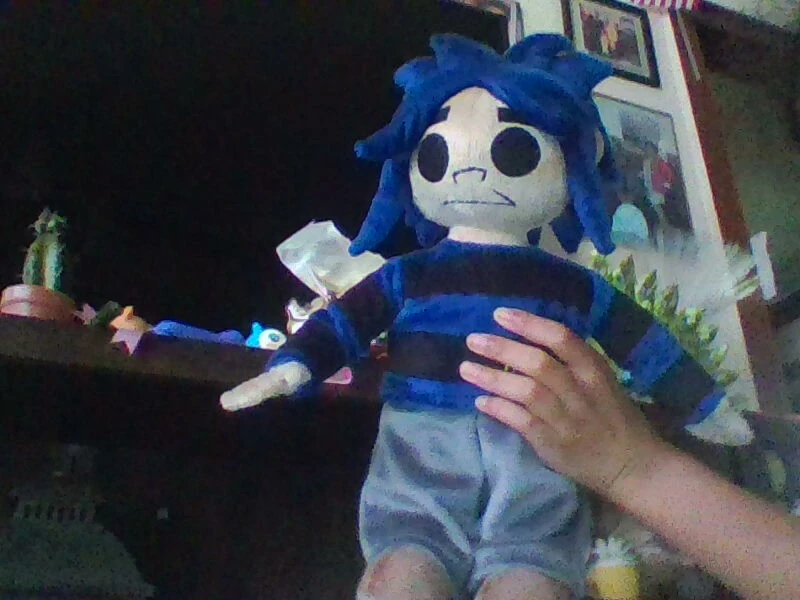 my 2d plush | Fandom