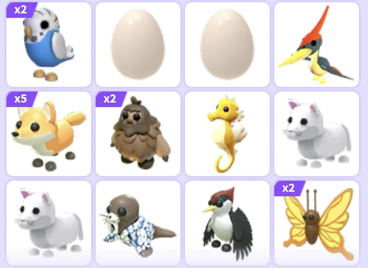 Discuss Everything About Adopt Me! Wiki | Fandom