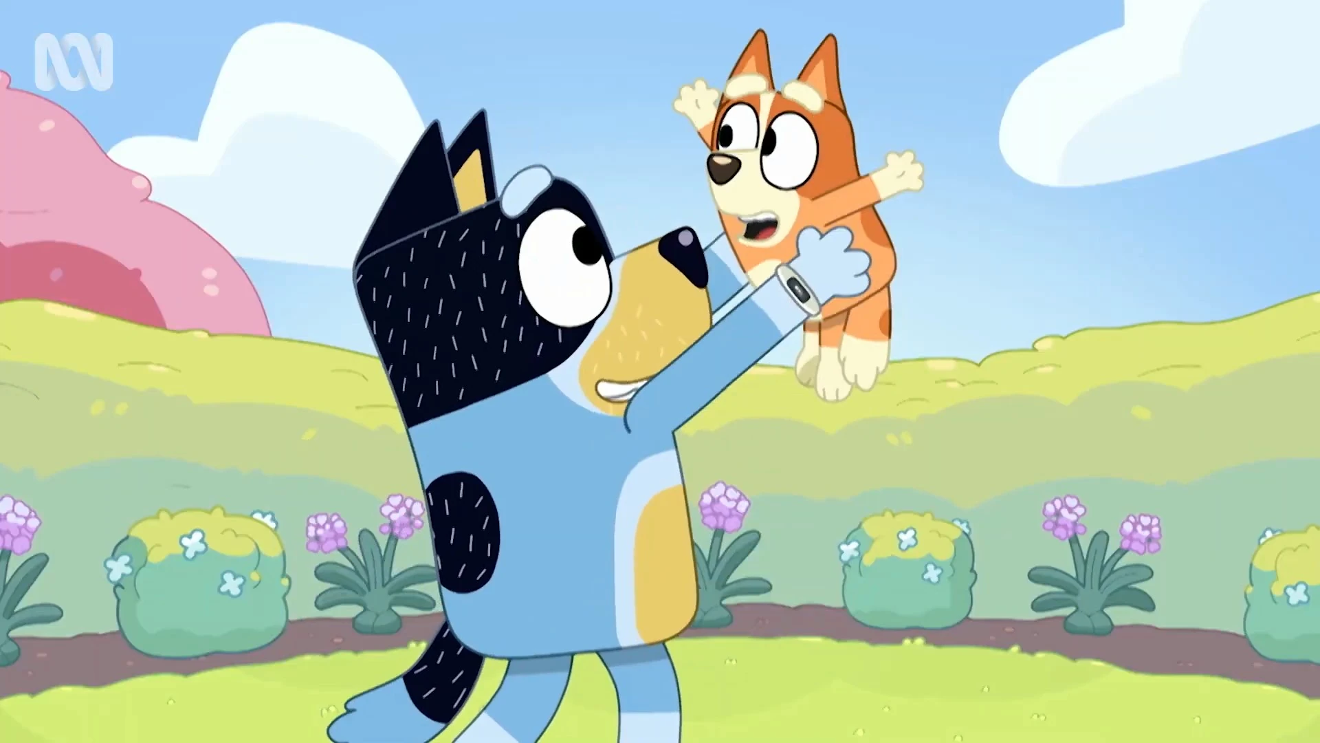 Exercise/Gallery | Bluey Wiki | Fandom