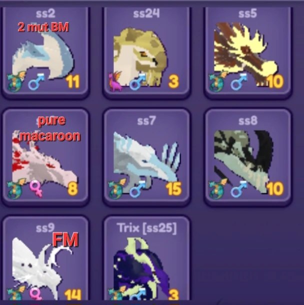 Large Inventory Auction! | Fandom