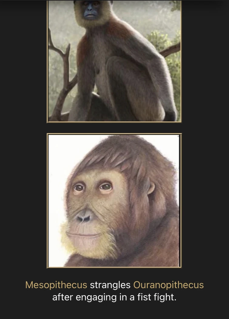 Discuss Everything About Dinopedia | Fandom