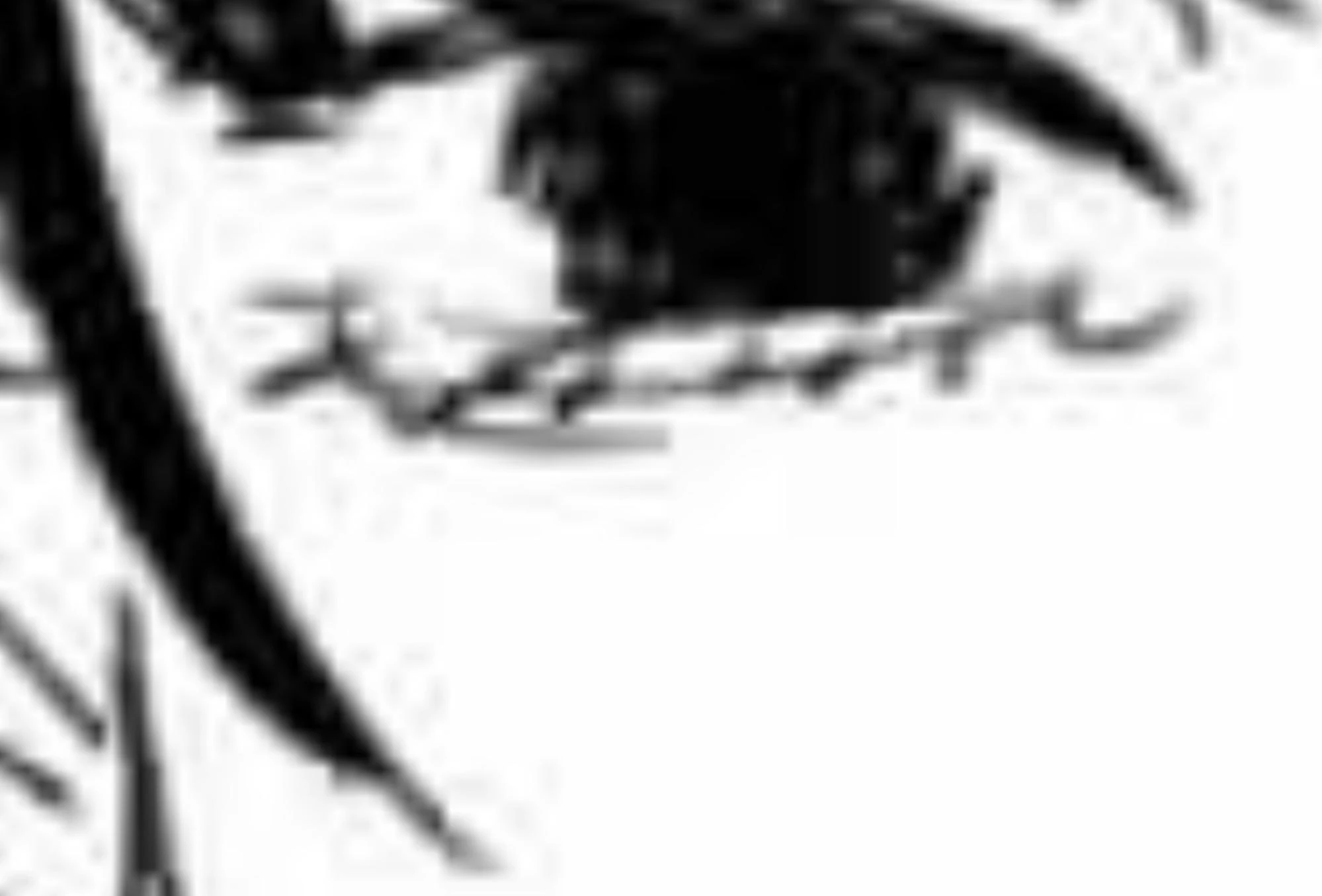 Why fujimoto like to draw asa mitaka eye like this | Fandom