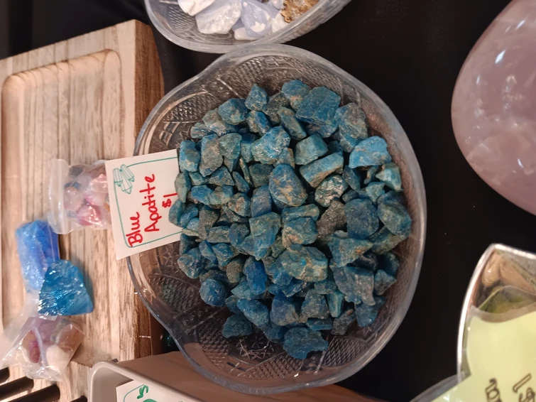 Discuss Everything About Catch! Teenieping Wiki | Fandom