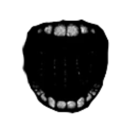 mouth template you can use for your entities | Fandom