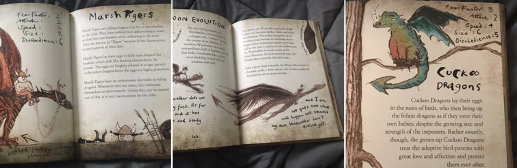What are your Top 3 favorite Dragon Species from the HTTYD Book Series ...