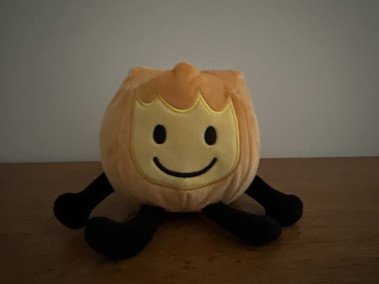 Yay the firey jr. and rocky plushes arrived!!! | Fandom