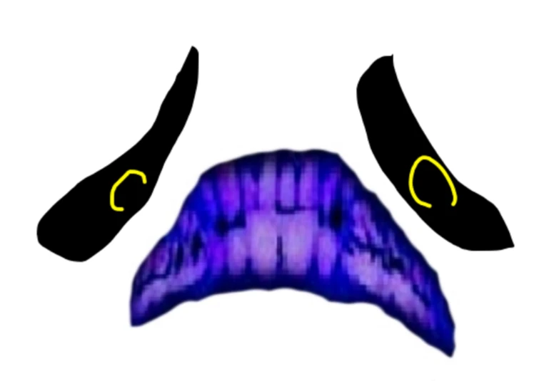 🤣🤣🤣🤣🤣🤣🤣 r | Fandom